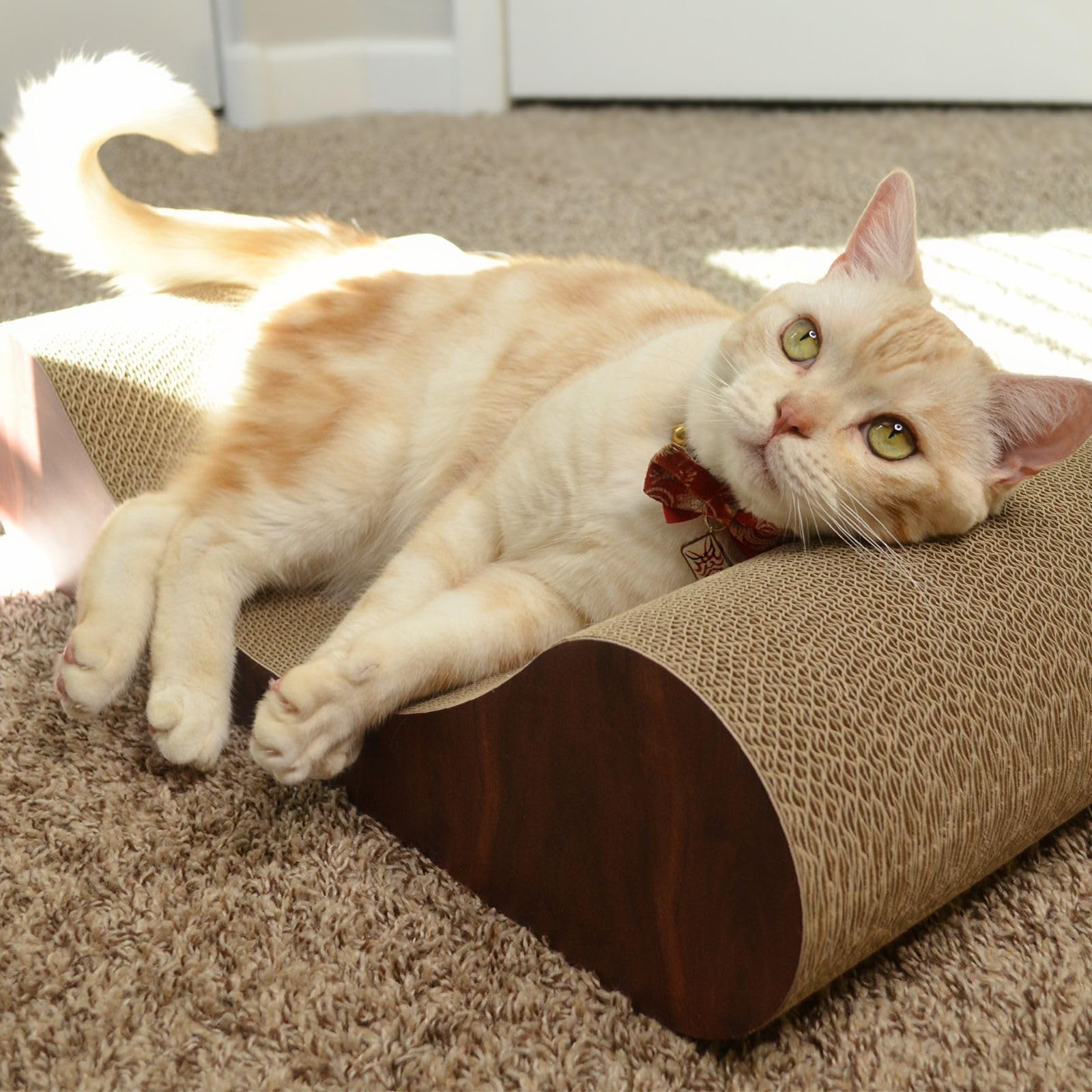 Snapklik.com : Necoichi Cardboard Cat Scratcher Bed For Indoor Cats ...