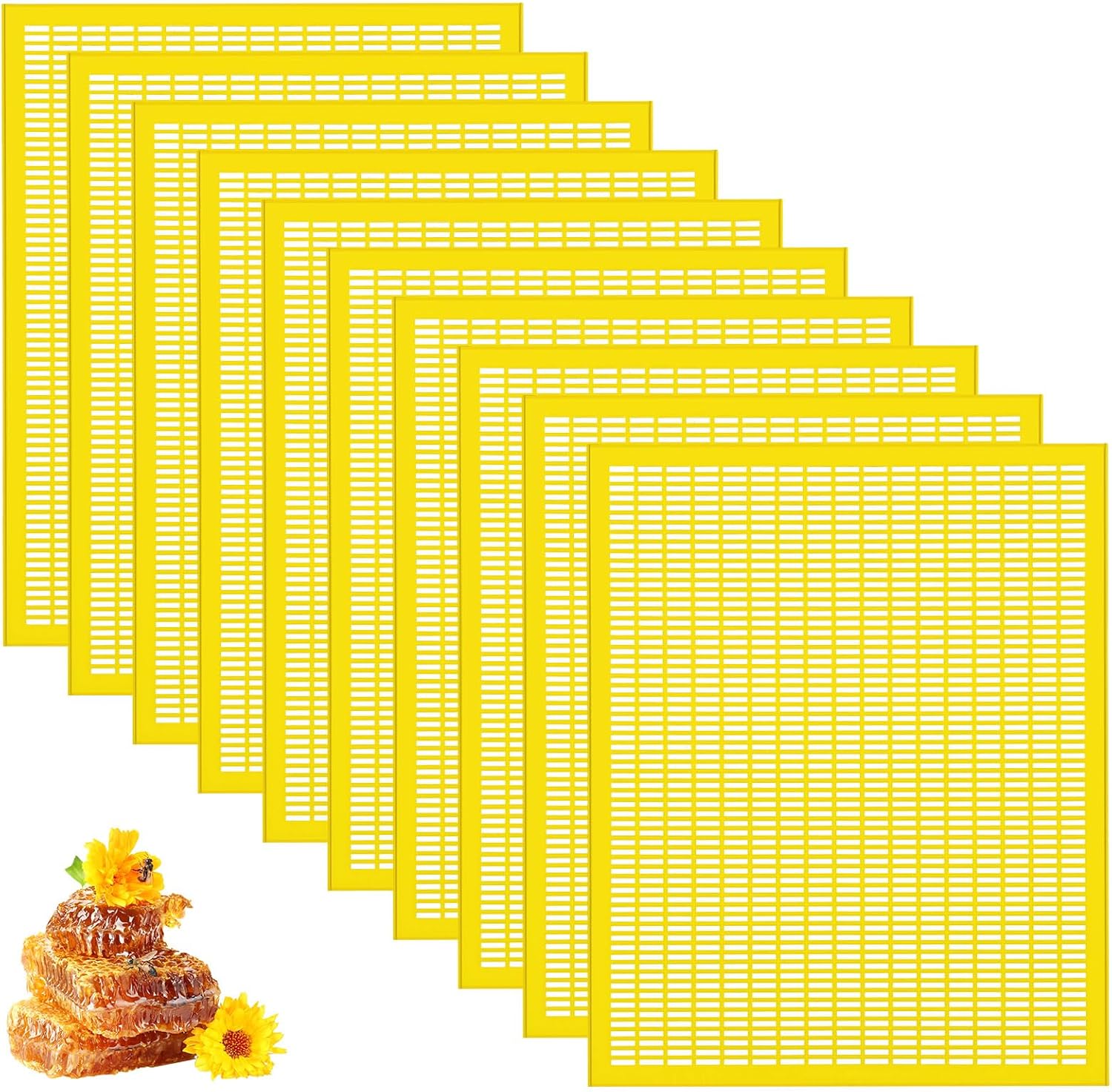 Amazon.com : Rtteri 10 Pcs 8 Frame Plastic Queen Excluder Queen Bee ...