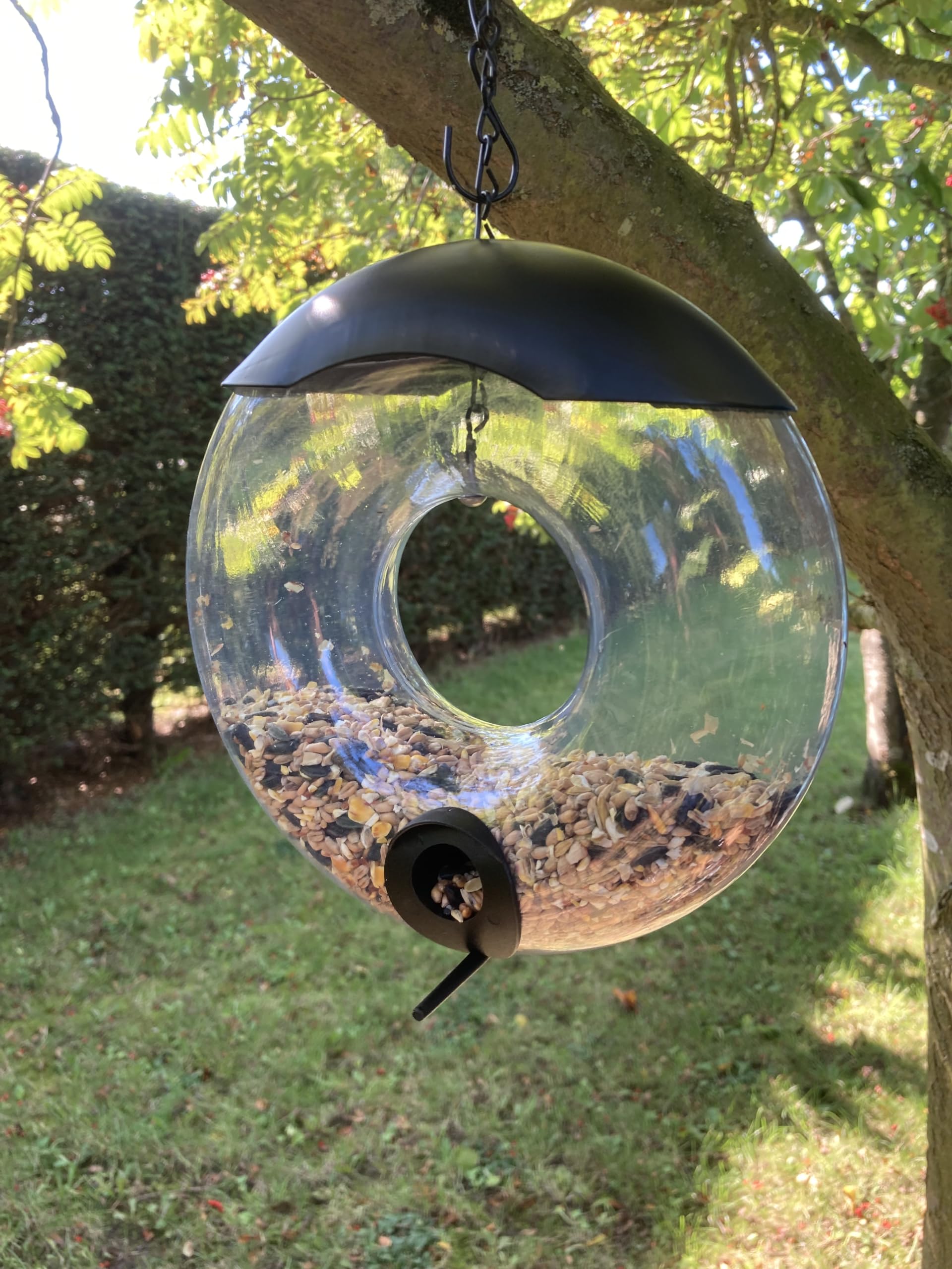 Oakdale Donut Seed Bird Feeder – BigaMart