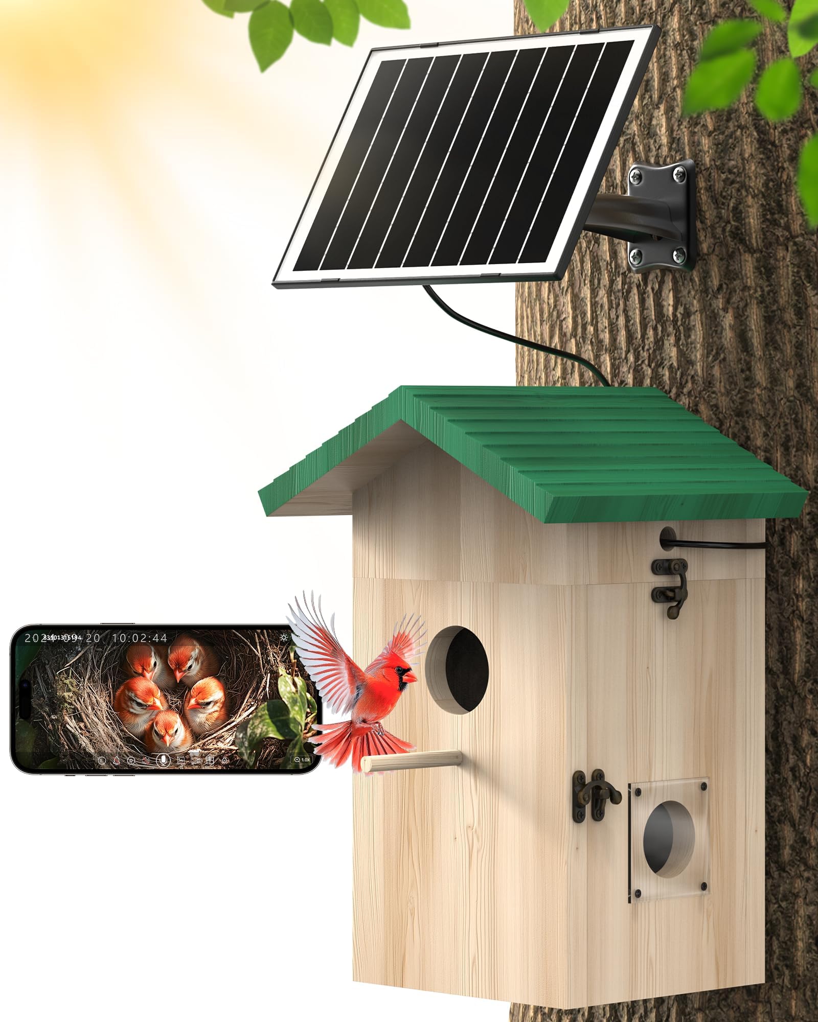Amazon.com: Birdhouse Camera, Birdhouse with 1080P HD Camera Wireless ...