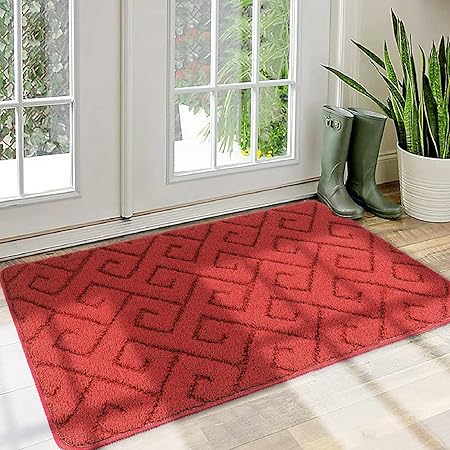 Amazon.com: Walensee Indoor Doormat, Front Door Mat for Entrance (24 ...
