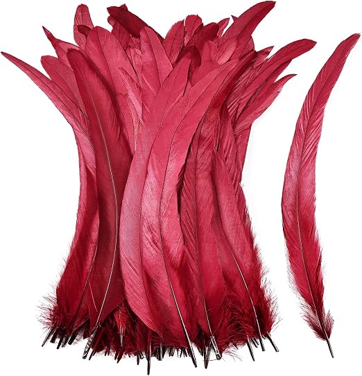 Amazon.com: iHUFeather Natural Rooster Tail Feathers 50pcs 10-12inch ...