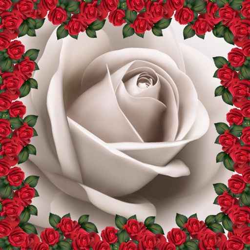 Roses Photo Collage Editor - App on Amazon Appstore