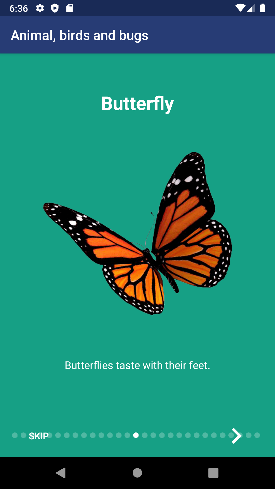 Animals, Birds and Bugs Introduction | Spelling sound and vocabulary of ...