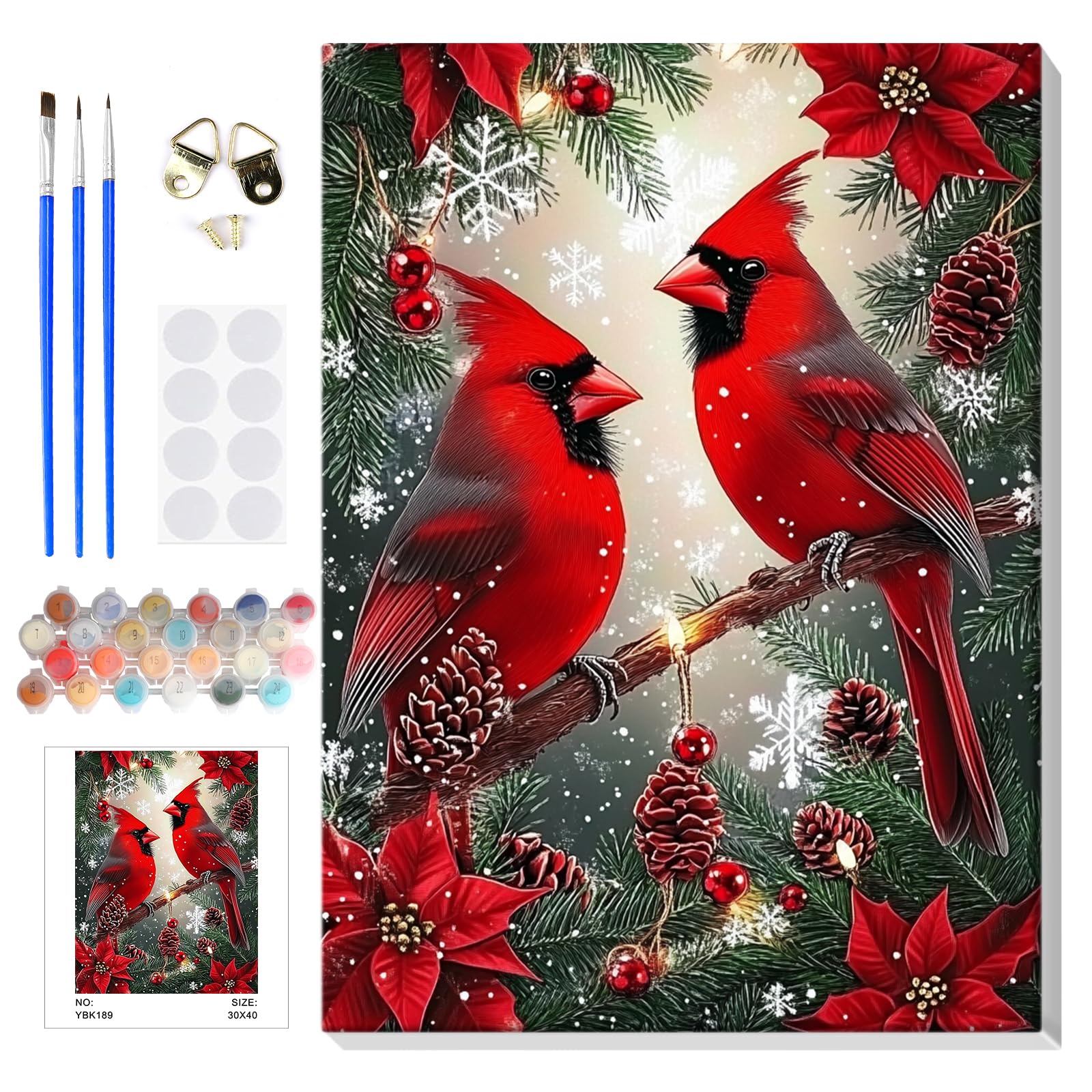 Amazon.com: Christmas Paint by Numbers Kits for Adults Beginners on ...