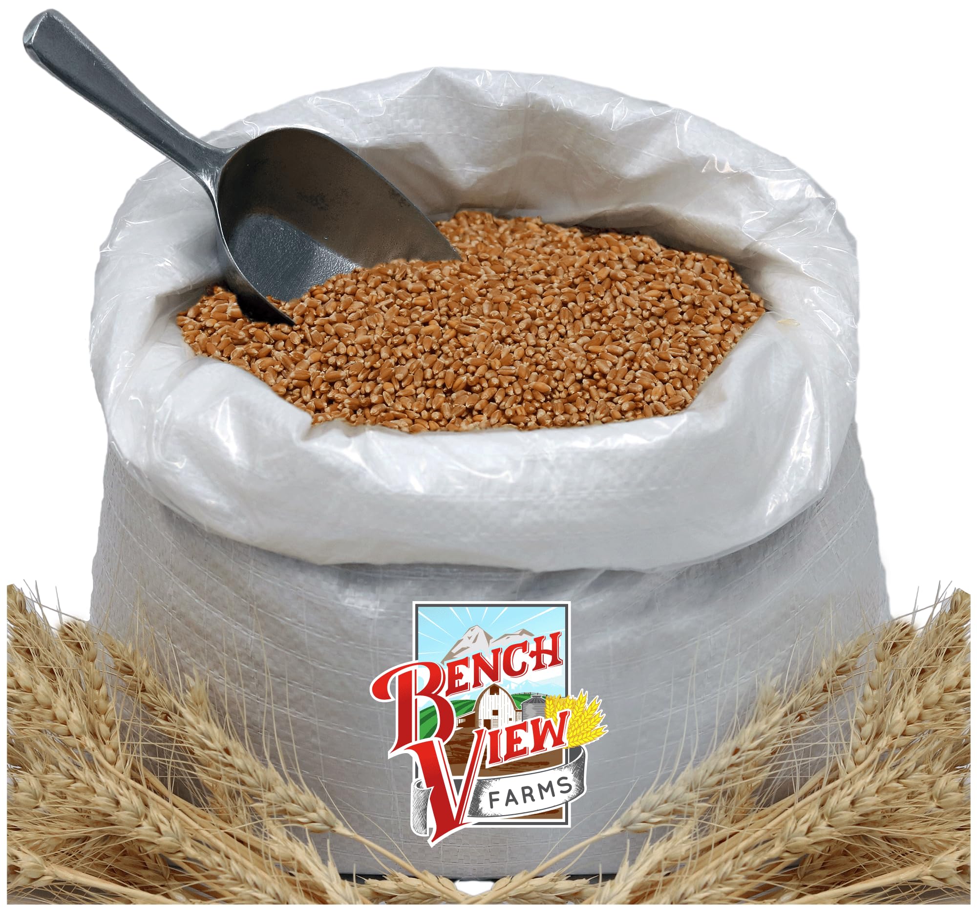 Amazon.com : Organic Hard Red Wheat Berries - 24lbs : Grocery & Gourmet ...