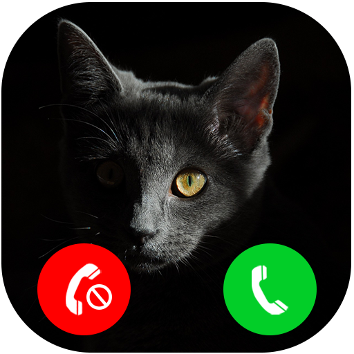 animal cal - App on Amazon Appstore