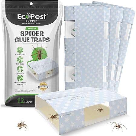 Amazon.com : Spider Trap – 12 Pack | Sticky Indoor Glue Traps for ...