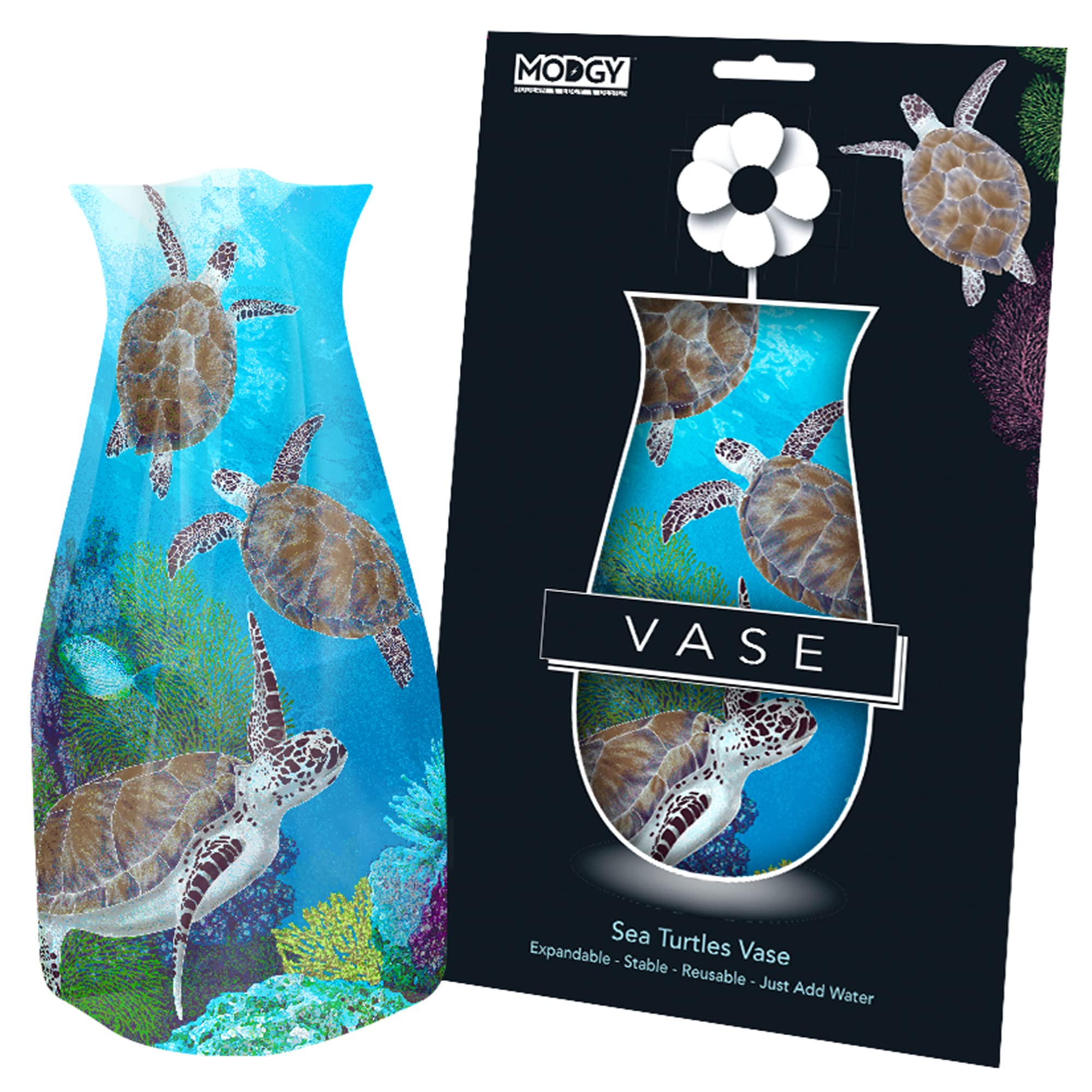 Amazon.com: MODGY Expandable Vases for Flowers, Plastic Decorative ...