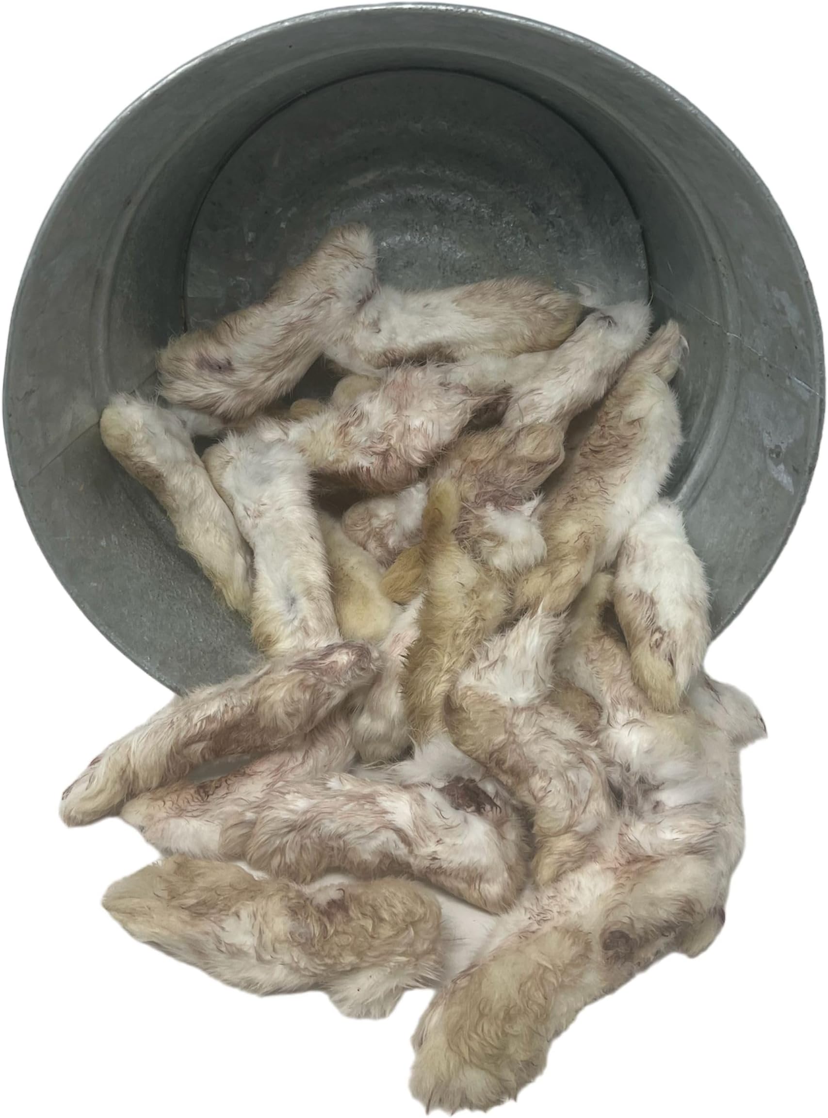 Amazon.com : JACK'S PREMIUM Rabbit Feet - Dehydrated Dog and Cat Chews ...