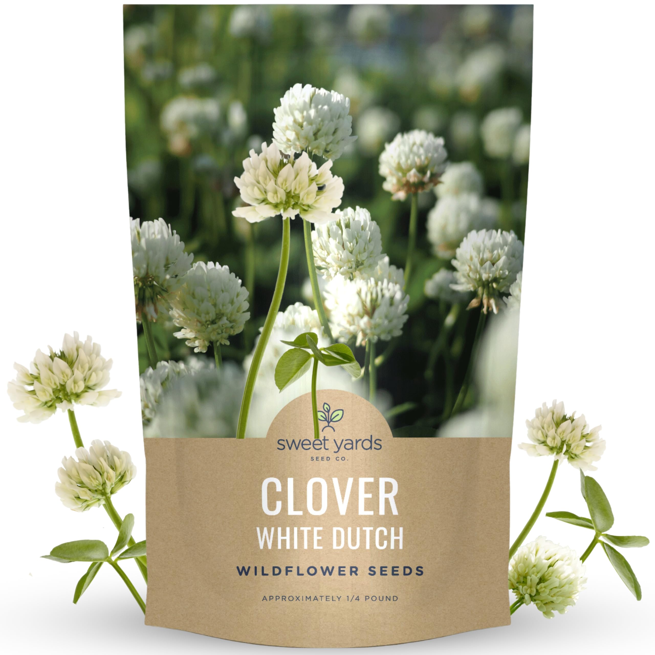Amazon.com : White Dutch Clover - Bulk 1/4 Pound Pouch - 150,000 Flower ...