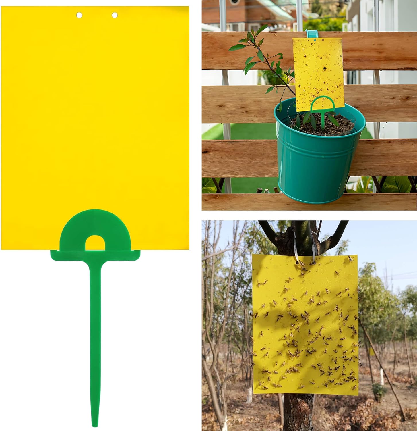 Amazon.com : 10 Sheets Sticky Fly Traps, Dual-Sided, for Flying Insect ...