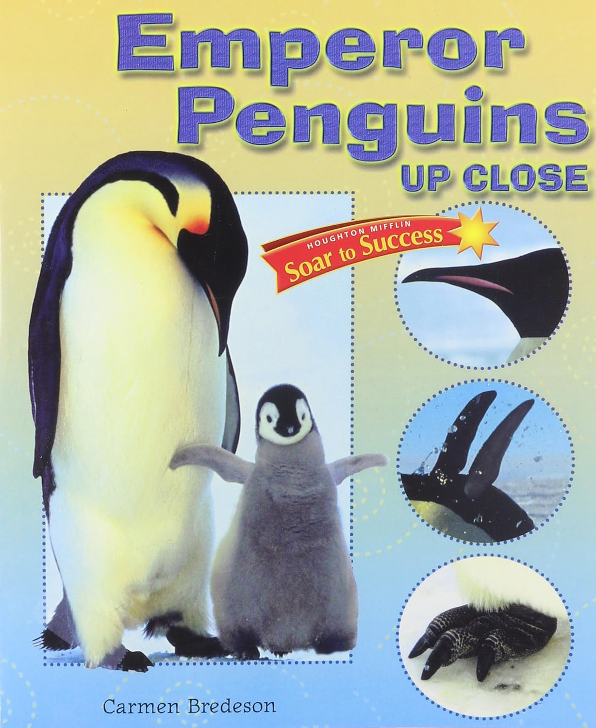 Soar to Success: Soar To Success Student Book Level 3 Wk 5 Emperor ...