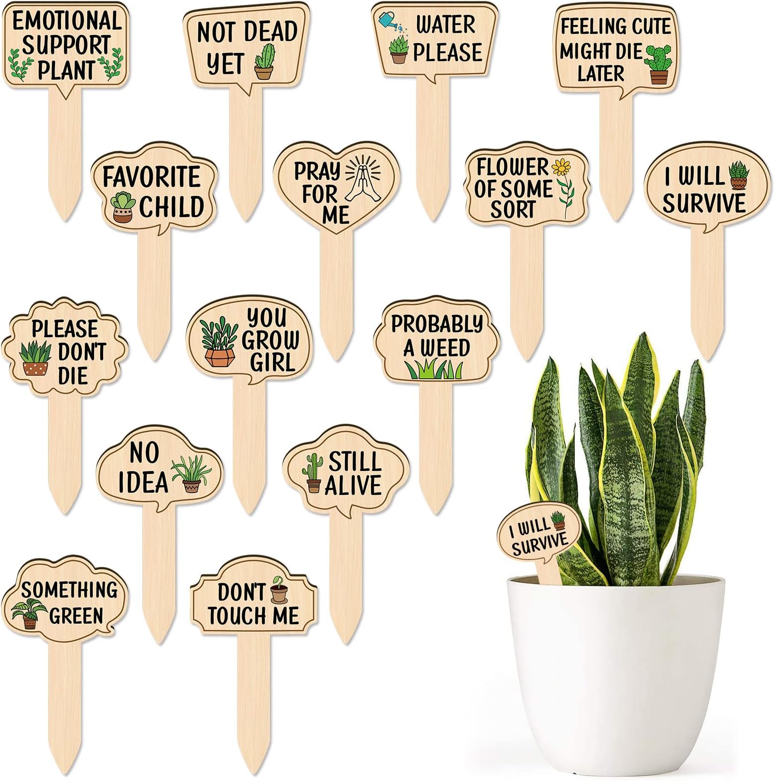 Amazon.com: Sassy Stakes Funny Plant Markers for Garden Set of 10 ...