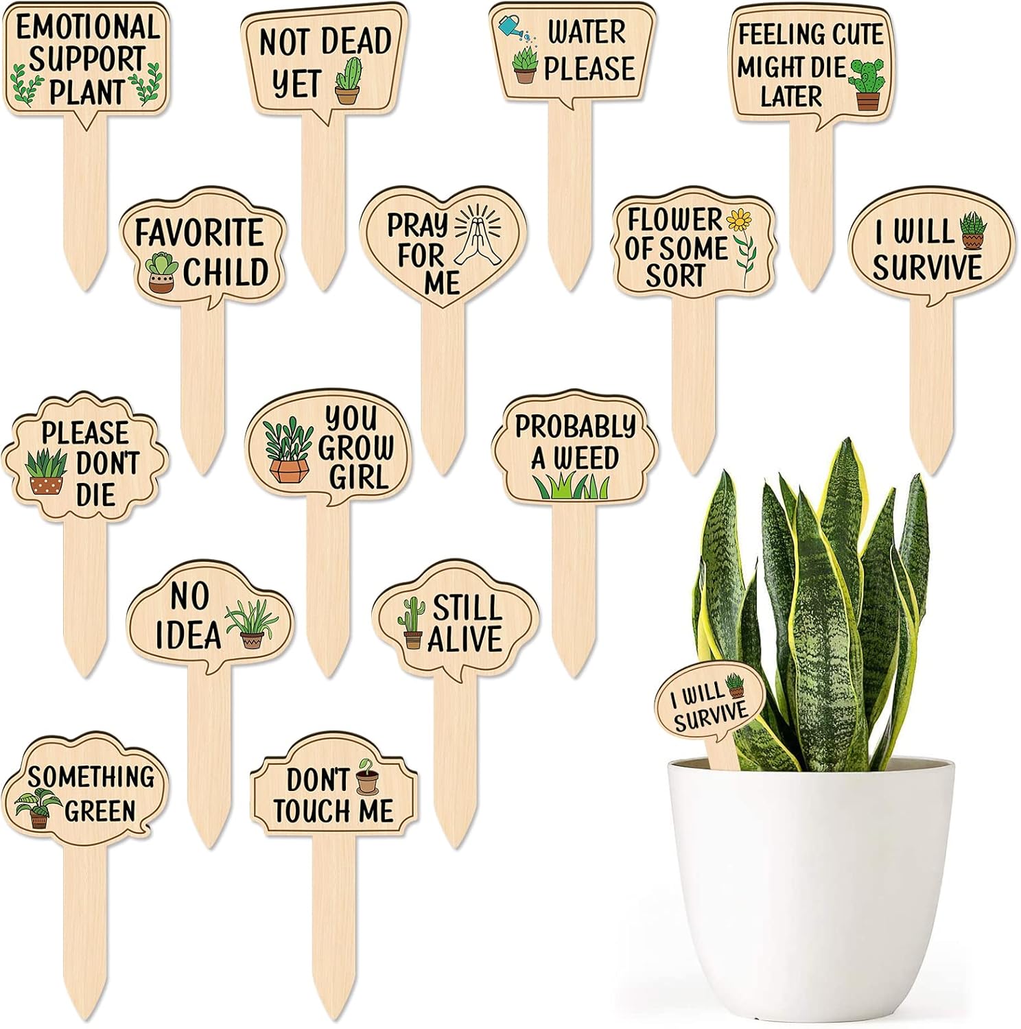 Amazon.com: Huray Rayho Funny Wooden Plant Markers for Succulent ...