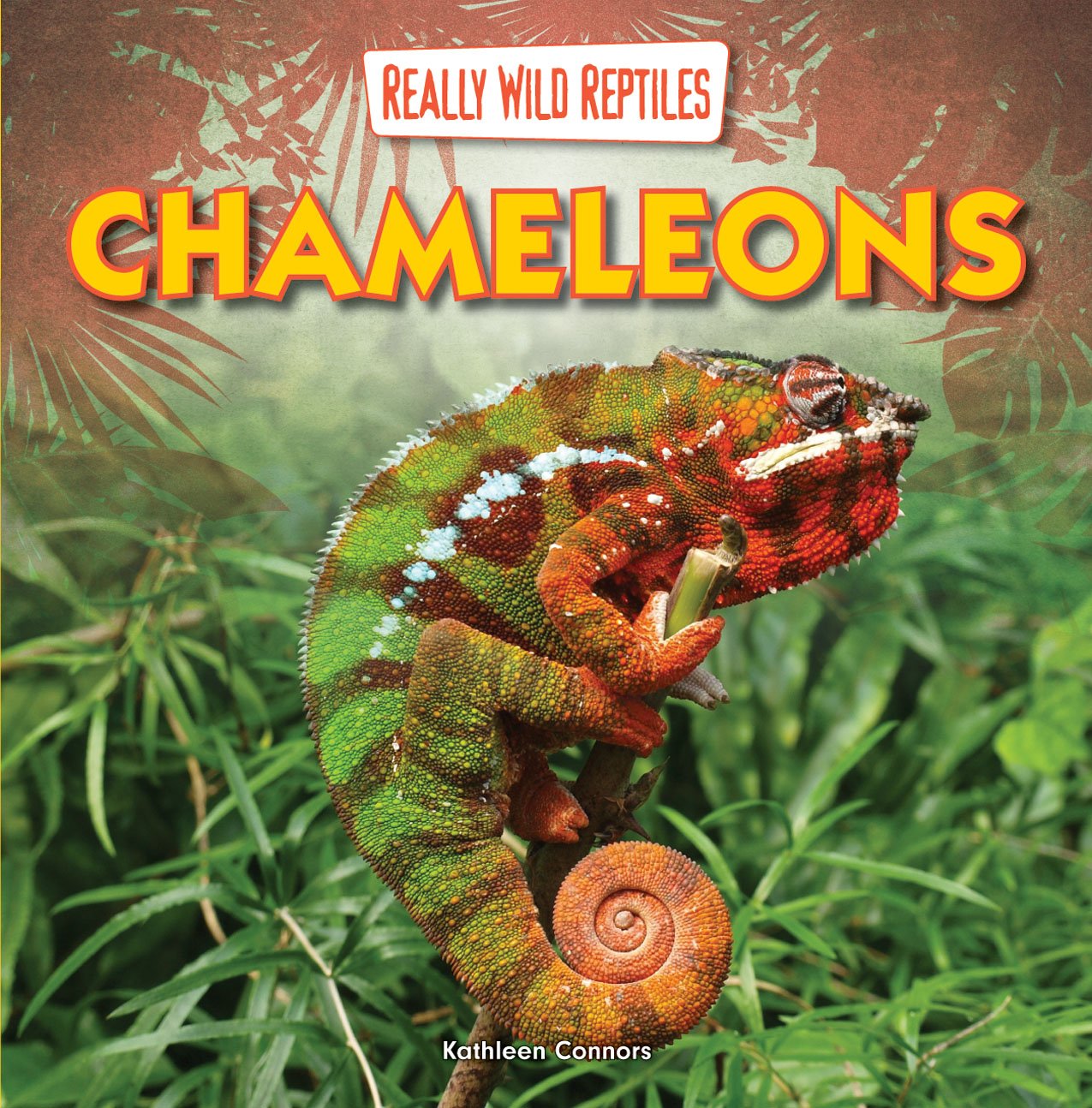 Chameleons (Really Wild Reptiles): Connors, Kathleen: 9781433983603 ...