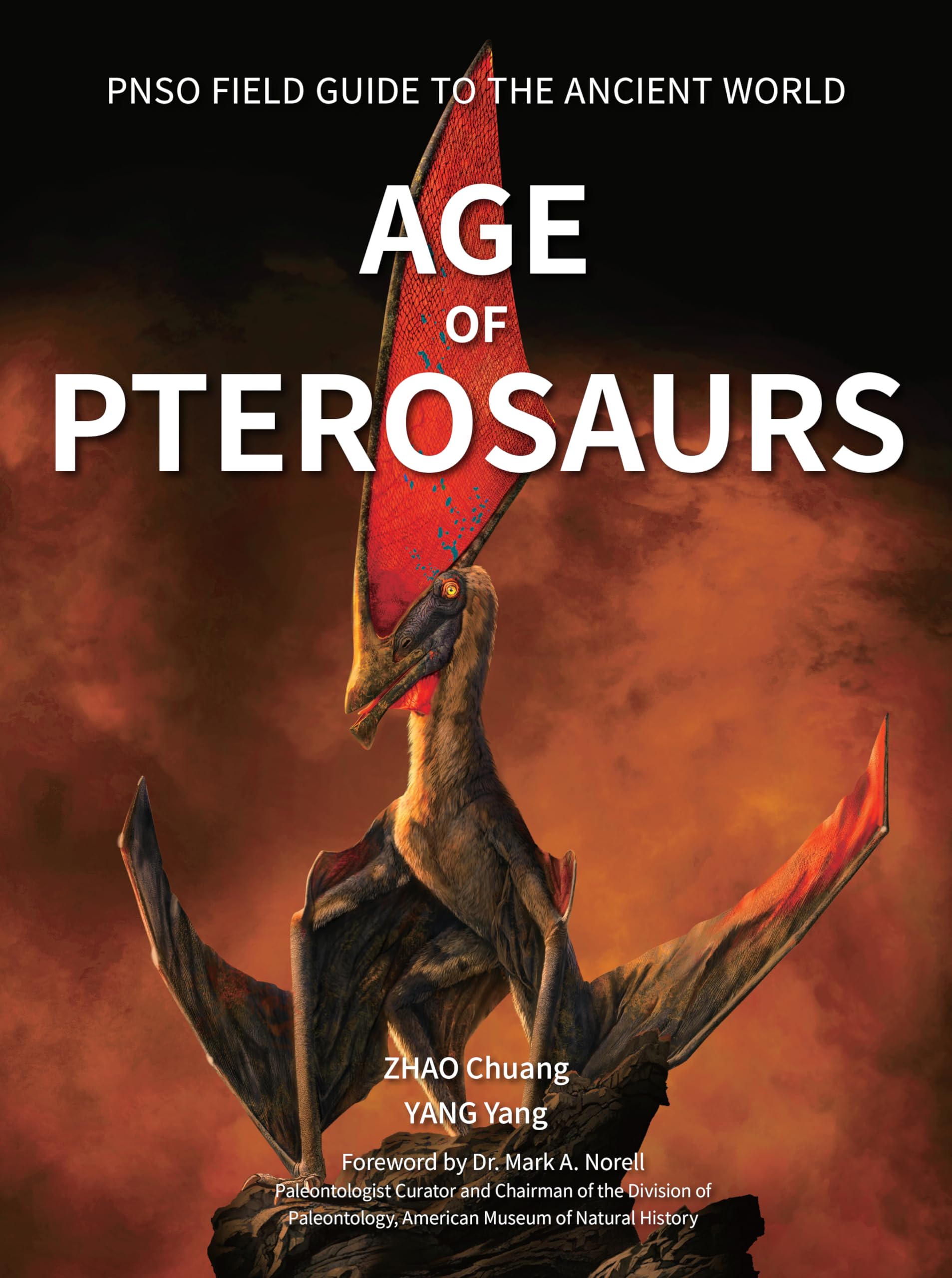 Age of Pterosaurs (PNSO Field Guide to the Ancient World, 2): Yang ...