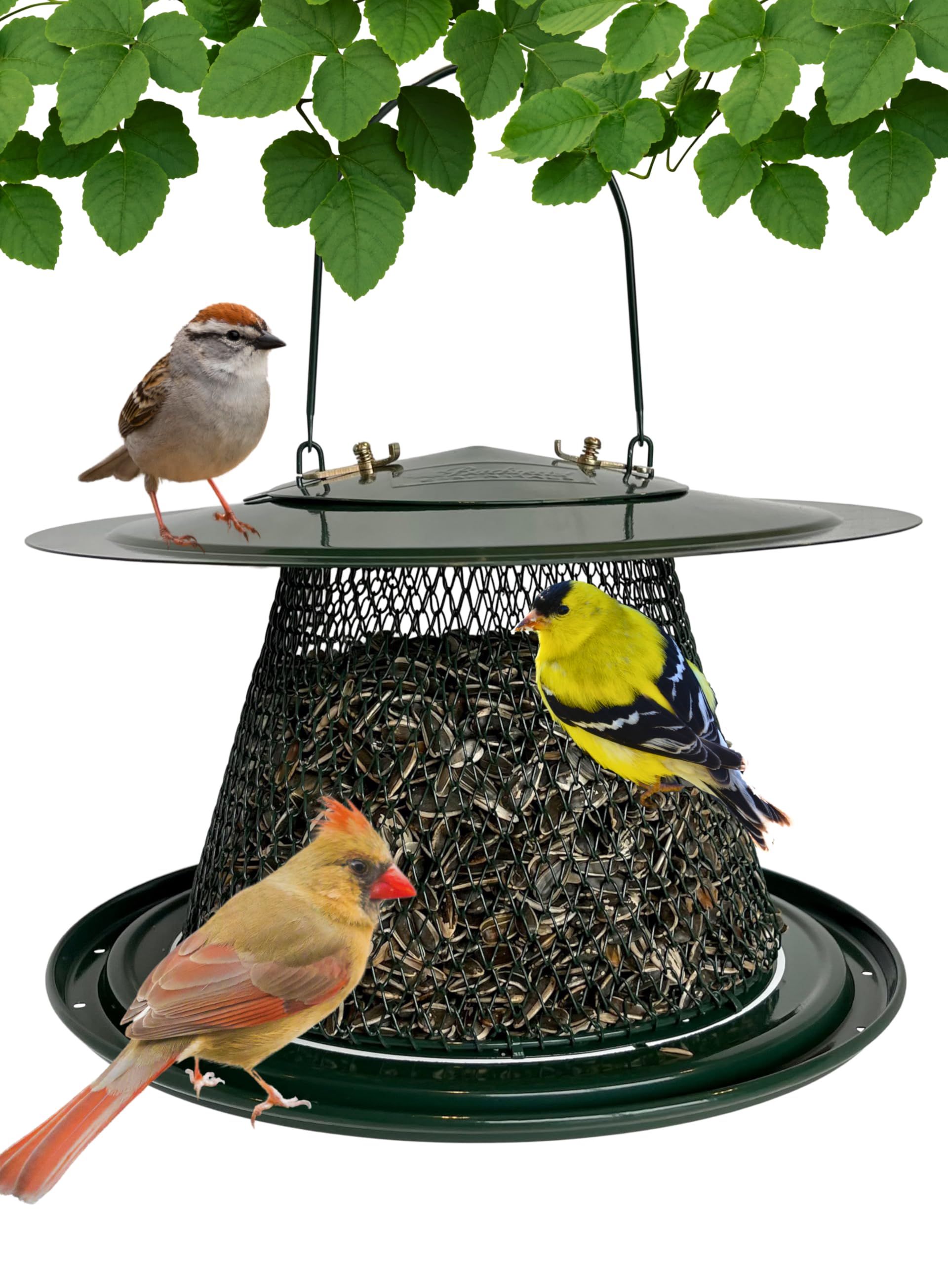 Amazon.com : Backyard Essentials Collapsible Metal Mesh Bird Feeder ...
