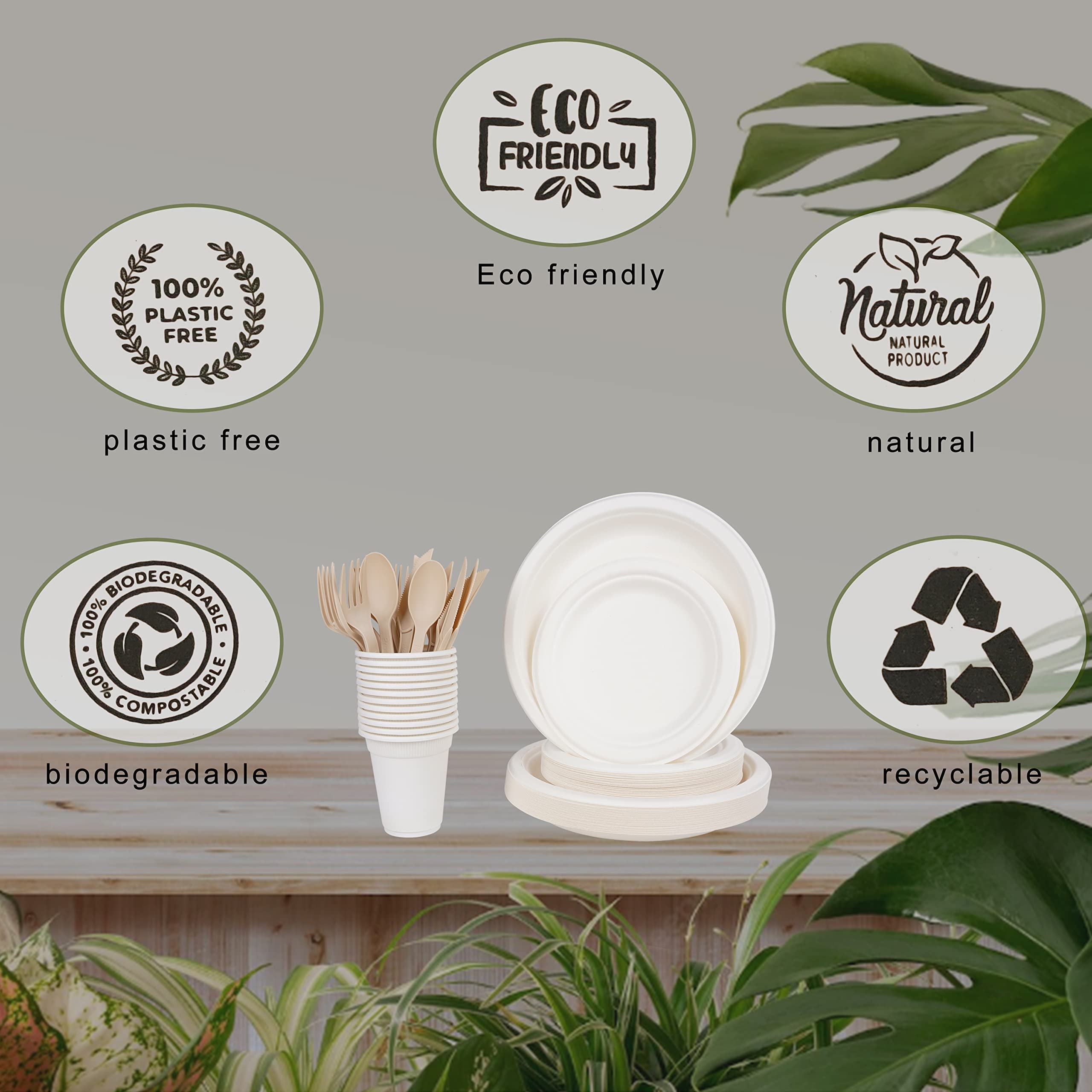 Snapklik.com : Compostable Paper Plates 150-Pack, Eco-Friendly ...