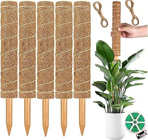 5 Pièces Tuteur Monstera, Tuteur en Mousse de 30 cm pour Plantes ...