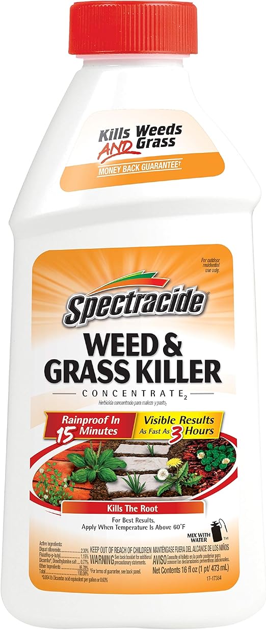 Amazon.com : Spectracide Weed And Grass Killer Concentrate 16 Ounces ...