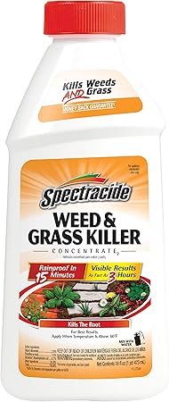 Amazon.com : Spectracide Weed And Grass Killer Concentrate 16 Ounces ...