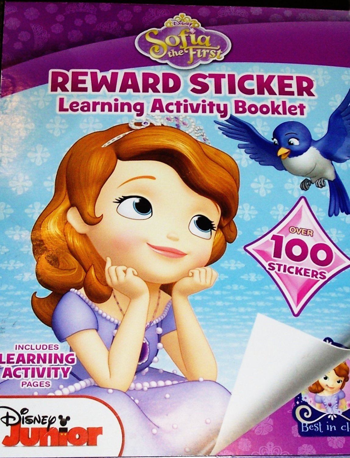Buy Sofia the First Learning Activity Booklet with Over 100 Stickers - Includes Learning ...