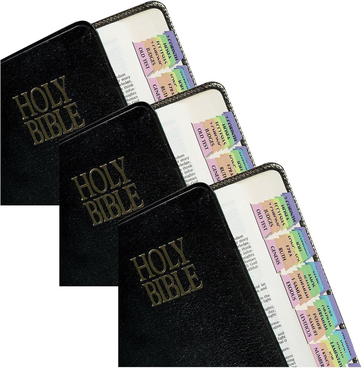 Amazon.com : Tabbies Rainbow Bible Indexing Tabs, Old & New Testaments ...