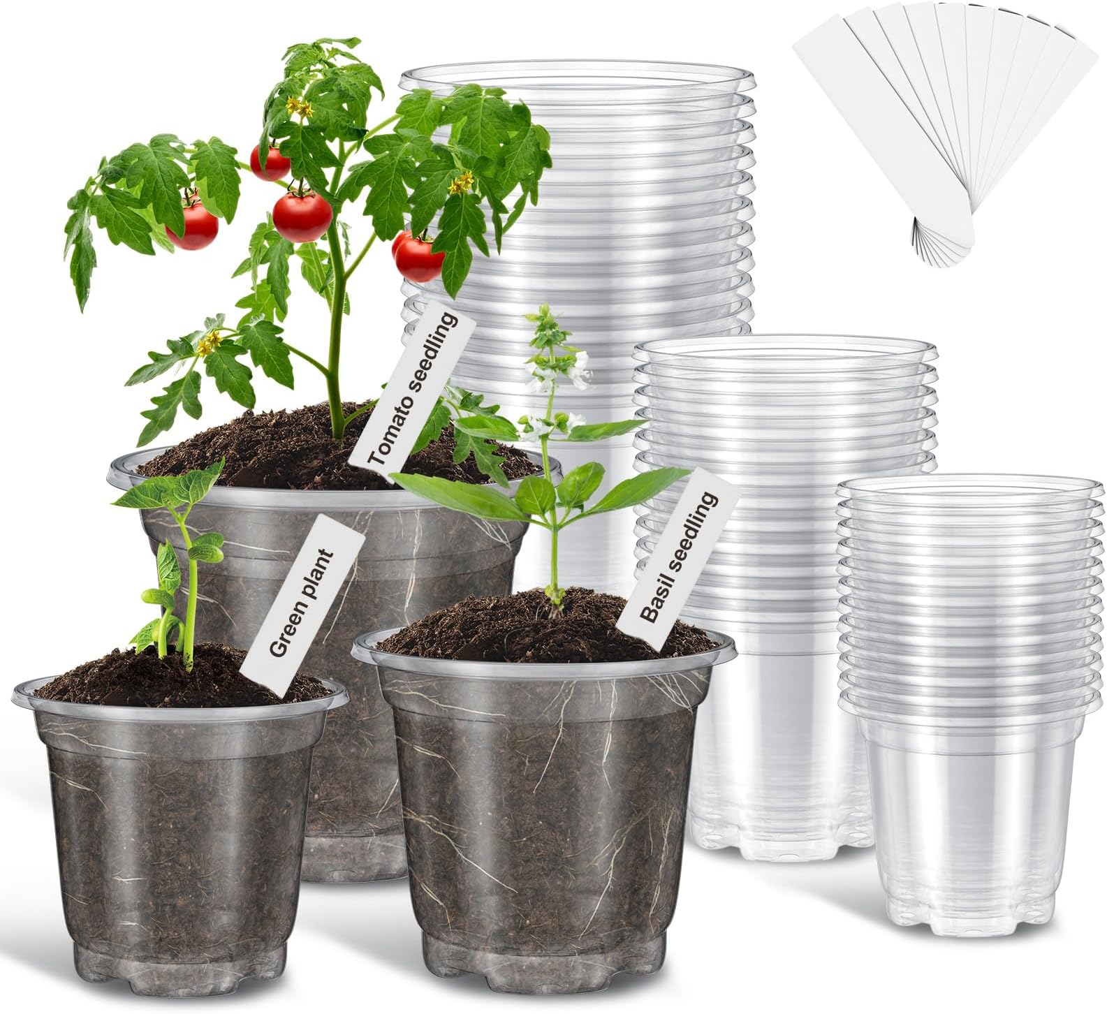 Amazon.com: Wanocean 36Packs Clear Nursery Pots for Plants 3.5/4/5 Inch ...