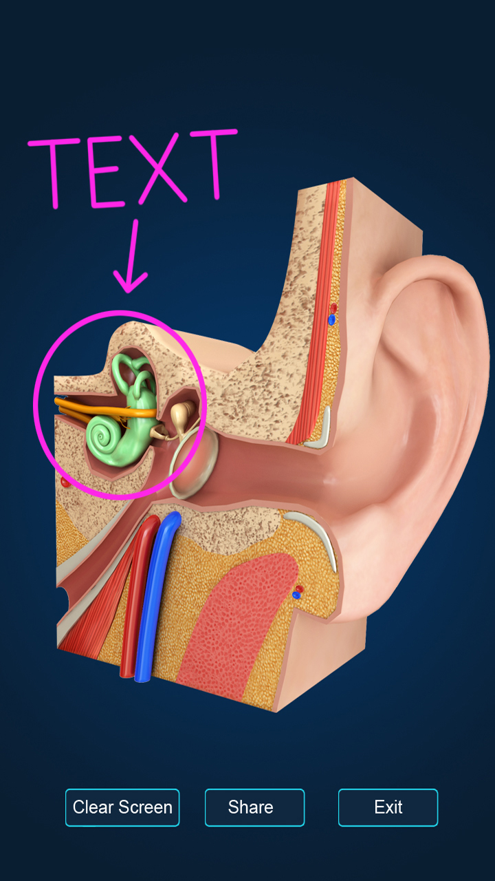 My Ear Anatomy - App on Amazon Appstore