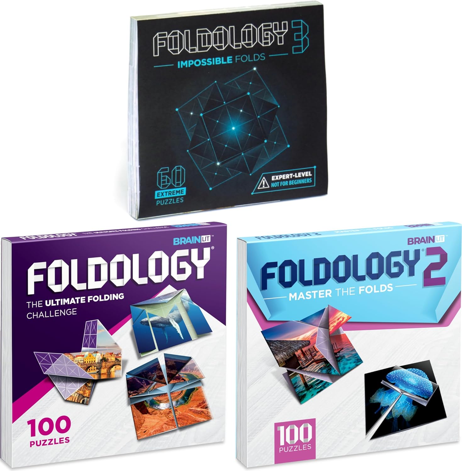 Amazon.com: Foldology Trilogy Bundle: 1 & 2 & 3. The Original Origami Puzzle Game and Both ...