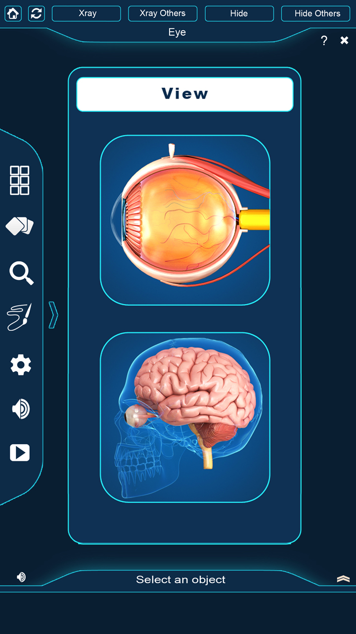 Eye Anatomy Pro.:Amazon.de:Appstore for Android