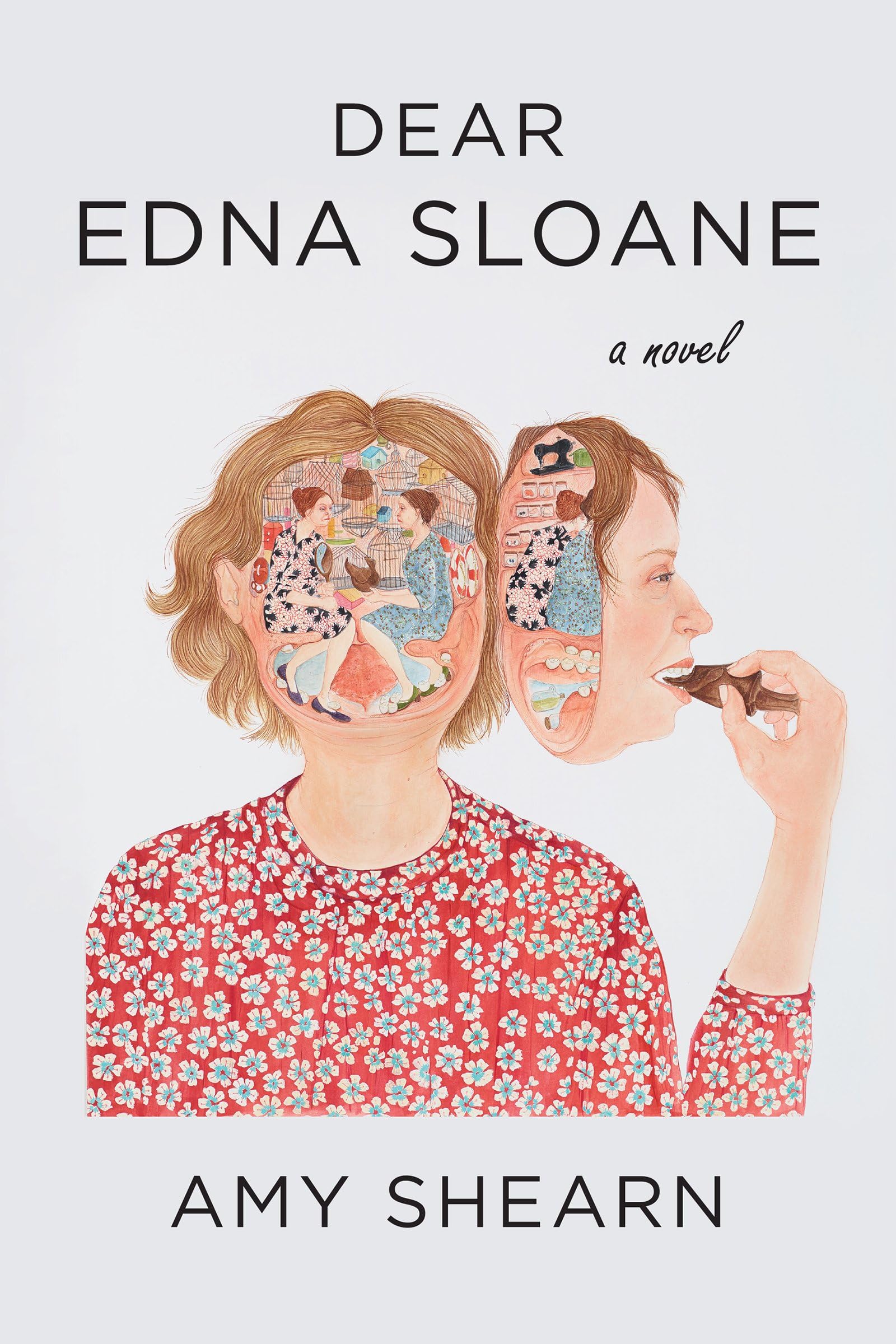 Amazon.com: Dear Edna Sloane: 9781636281223: Shearn, Amy: Books