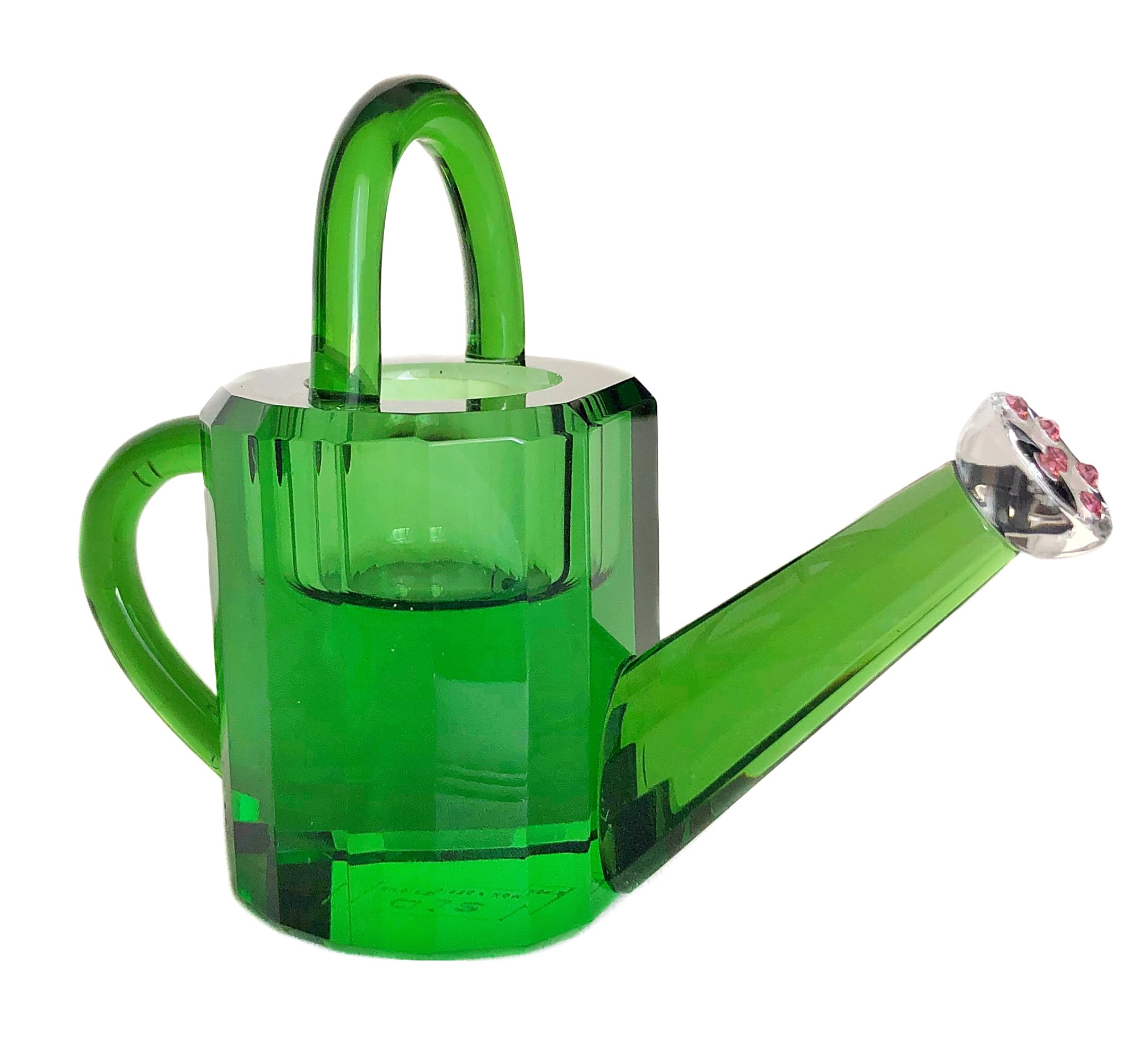 Amazon.com : SD Crystal Watering Can, Green : Patio, Lawn & Garden