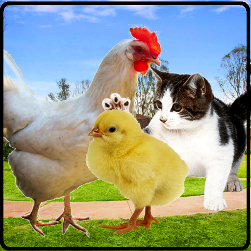 Chicken Simulator Unlimited 3D - App on Amazon Appstore