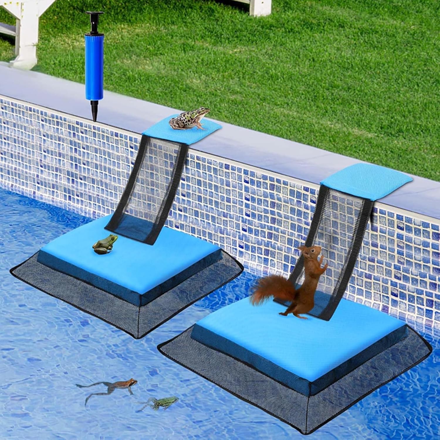 Amazon.com : Pool Safety Animal Escape Ramp, 2-Piece Swimming Pool ...