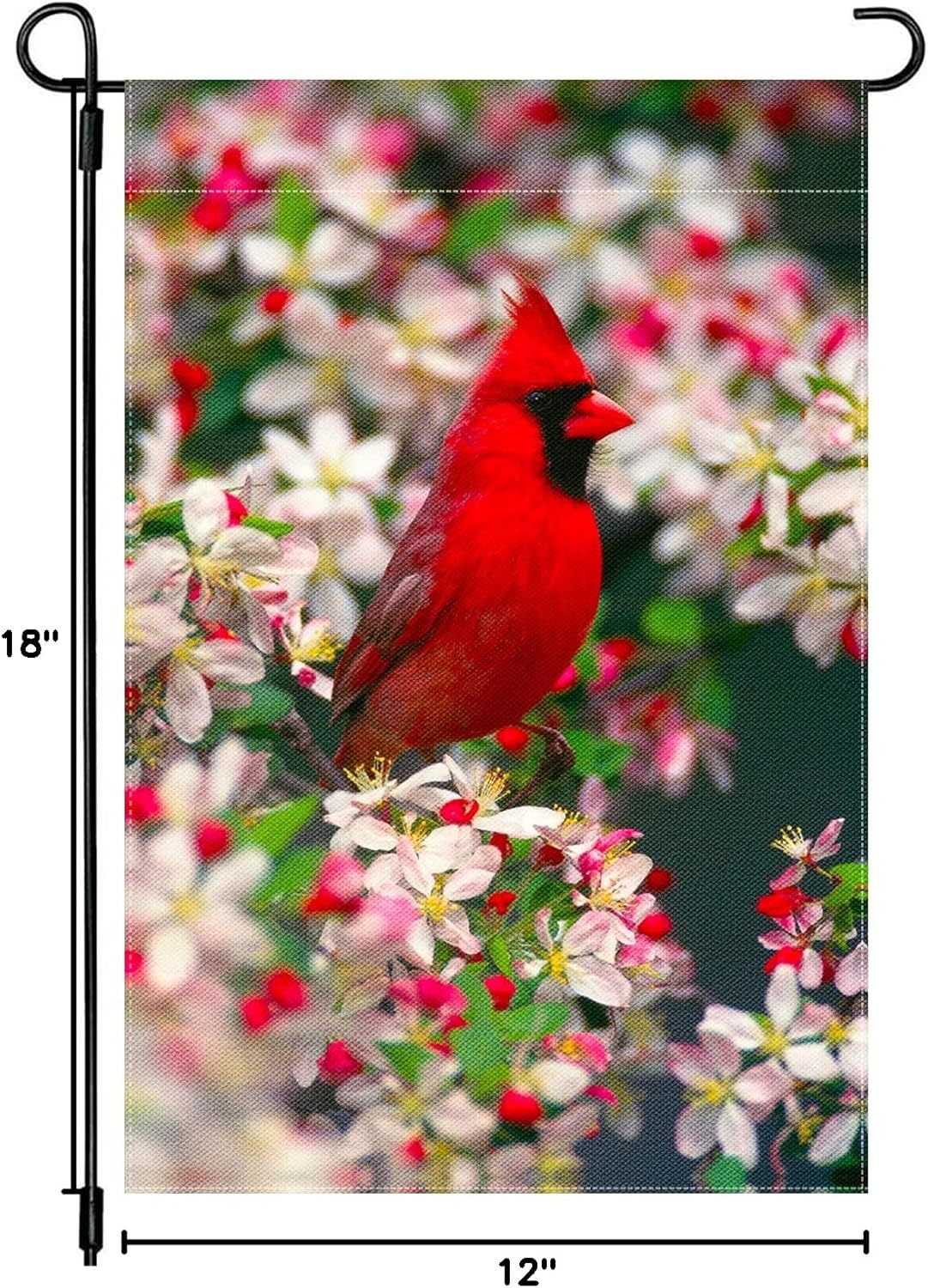 Amazon.com : Snycler Garden Flag Red Birds Floral Spring Garden Flags ...