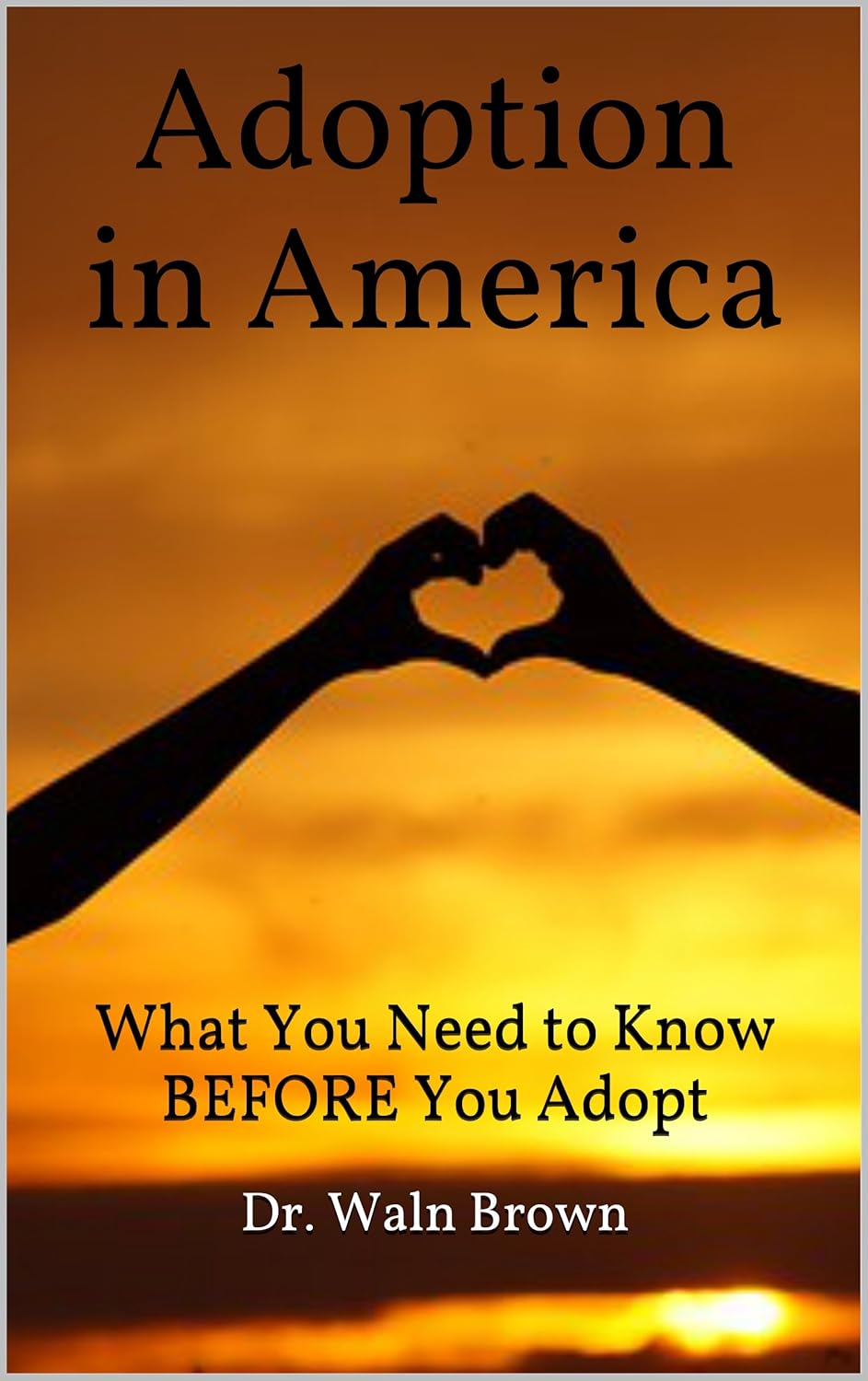 Adoption in America: What You Need to Know BEFORE You Adopt (Foster ...
