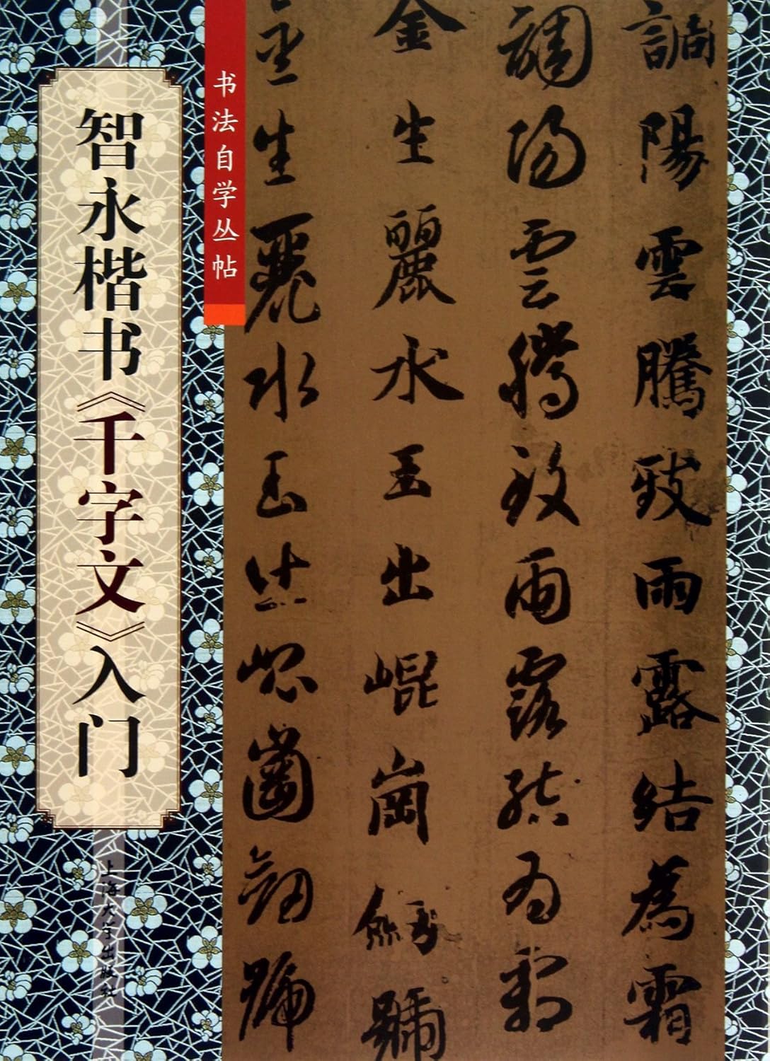 Amazon.com: Calligraphy self Cong posts : Zhi Yong script Thousand Character Classic Getting ...