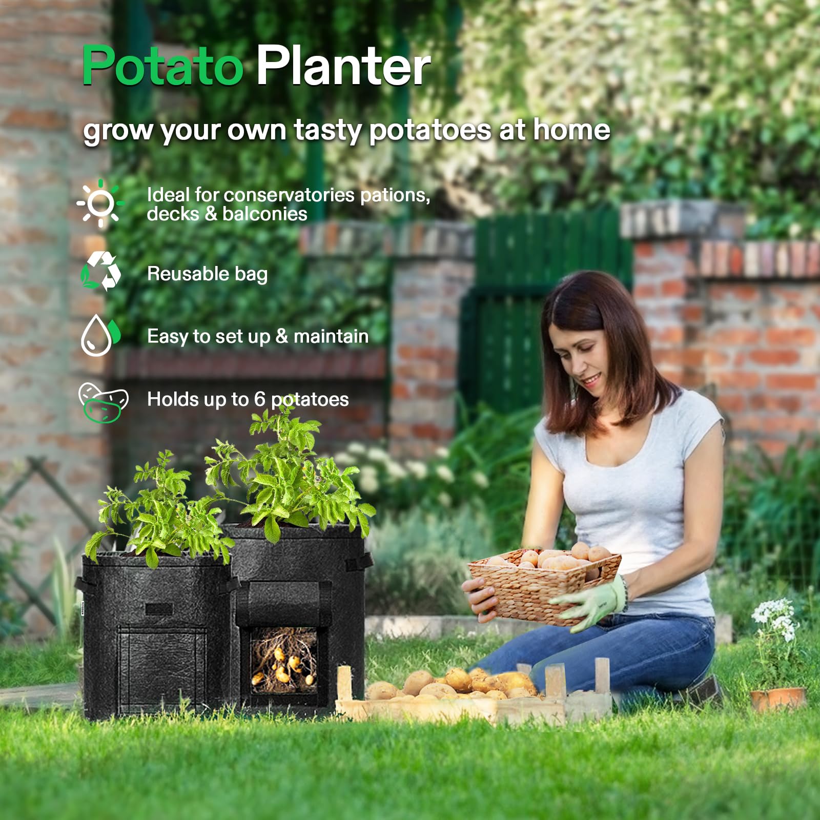 Potato Seeder Garden Home Your Guide To Growing Potatoes In Containers