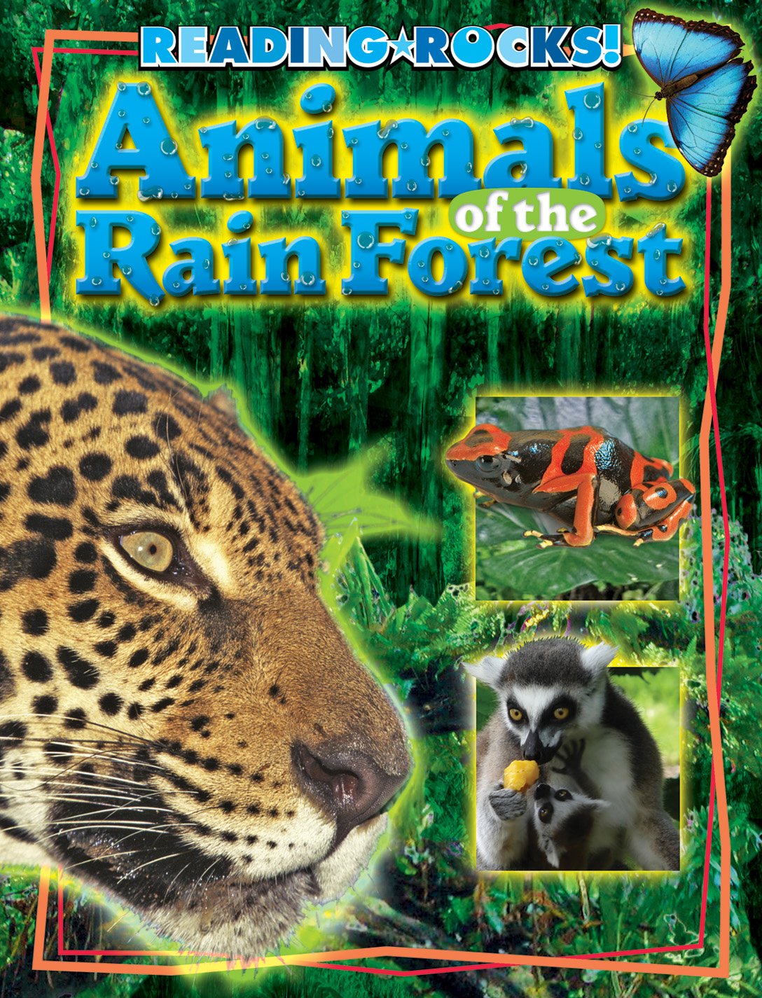 Animals of the Rain Forest (Reading Rocks!) - Kindle edition by Sadan ...