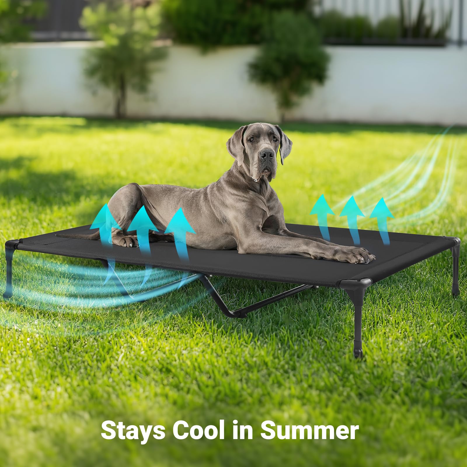 Portable Dog Bed Elevated Dog Bed For Large Dogs - Outdoor Indoor ...