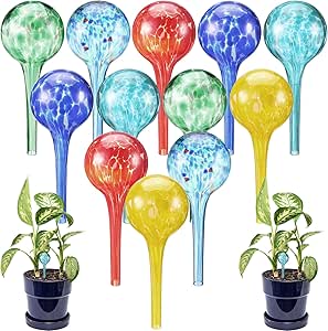 Amazon.com: Eccliy 12 pcs Watering Globes Glass Self Watering Devices Bulbs for Indoor Outdoor ...