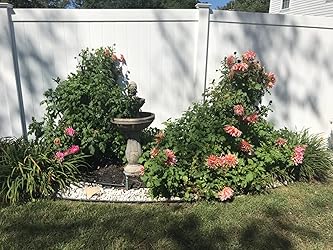 Amazon.com : RootBlast Sachets: Helps Your Plants Grow Bigger Faster ...