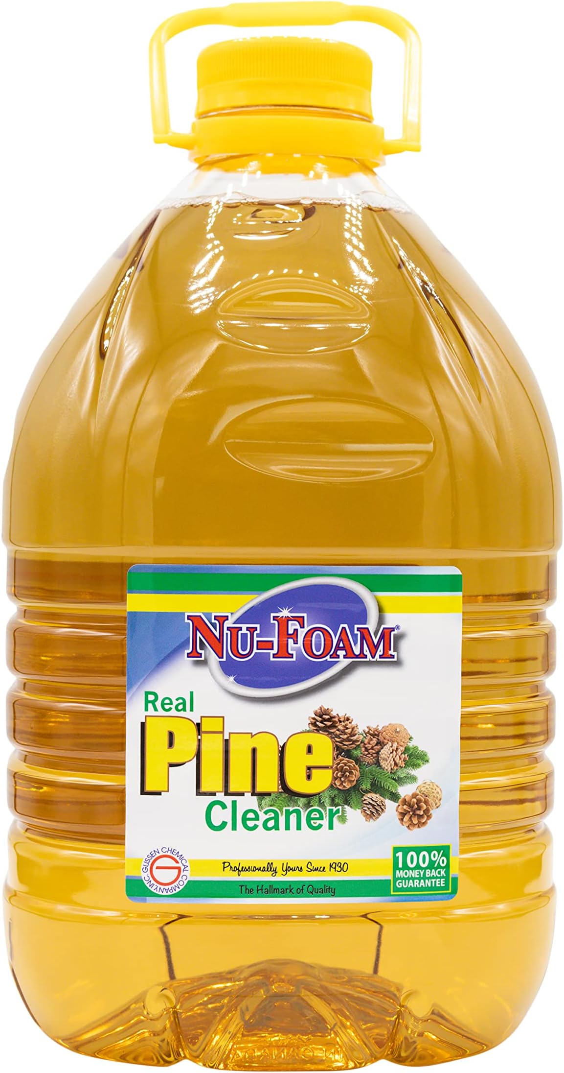 Amazon.com: Glissen Chemical - 300048 Nu-Foamicide EPA Registered 1-Gal ...