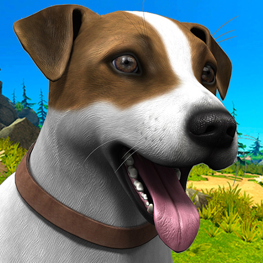 Dog Shelter Animal Rescue Sim - App on the Amazon Appstore