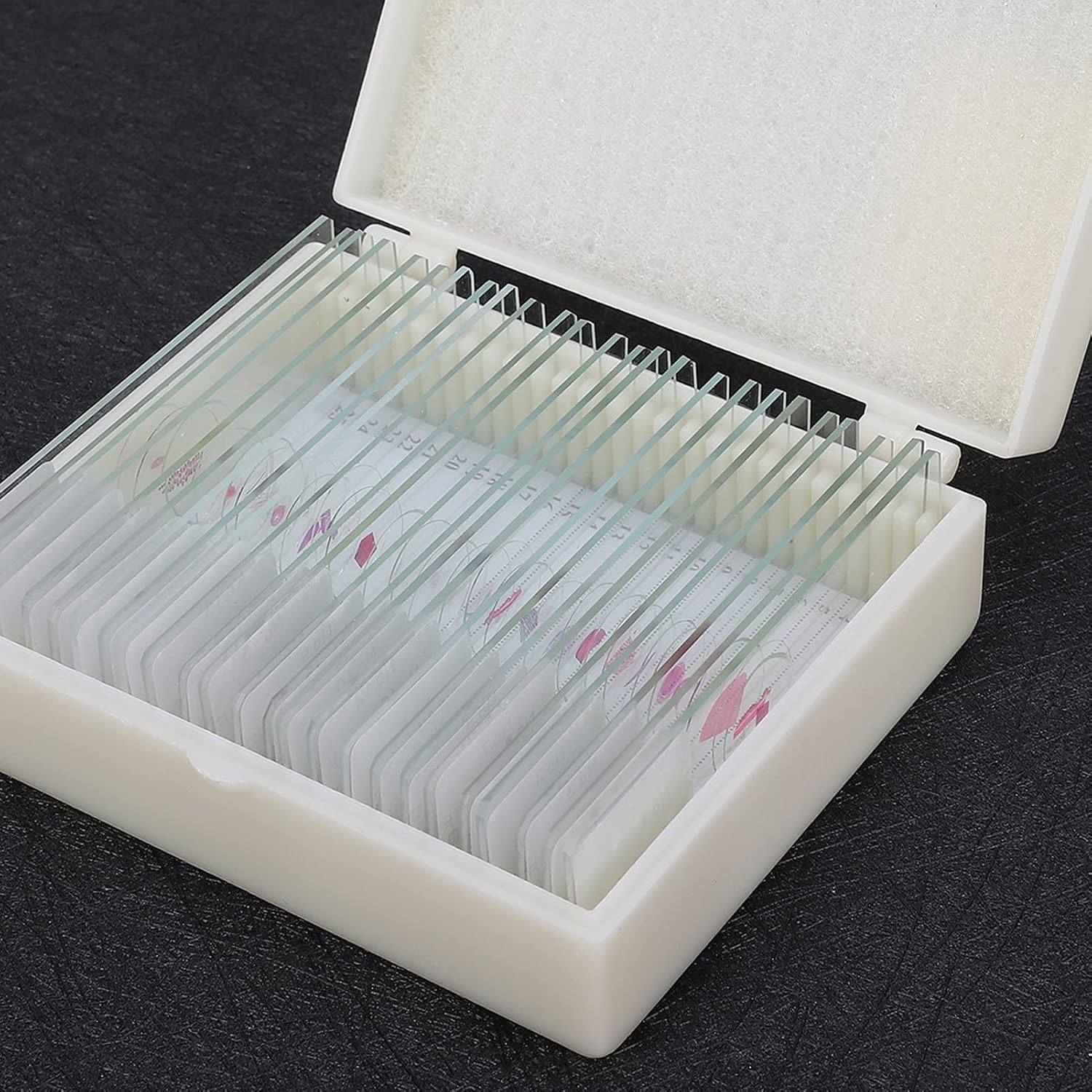 DW25 25Pcs Animal Slide Microscope Slide Specimens Slides Sturdy Durable Clear Transparent for ...