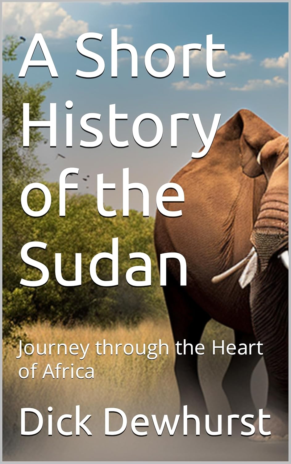 A Short History of the Sudan : Journey through the Heart of Africa ...
