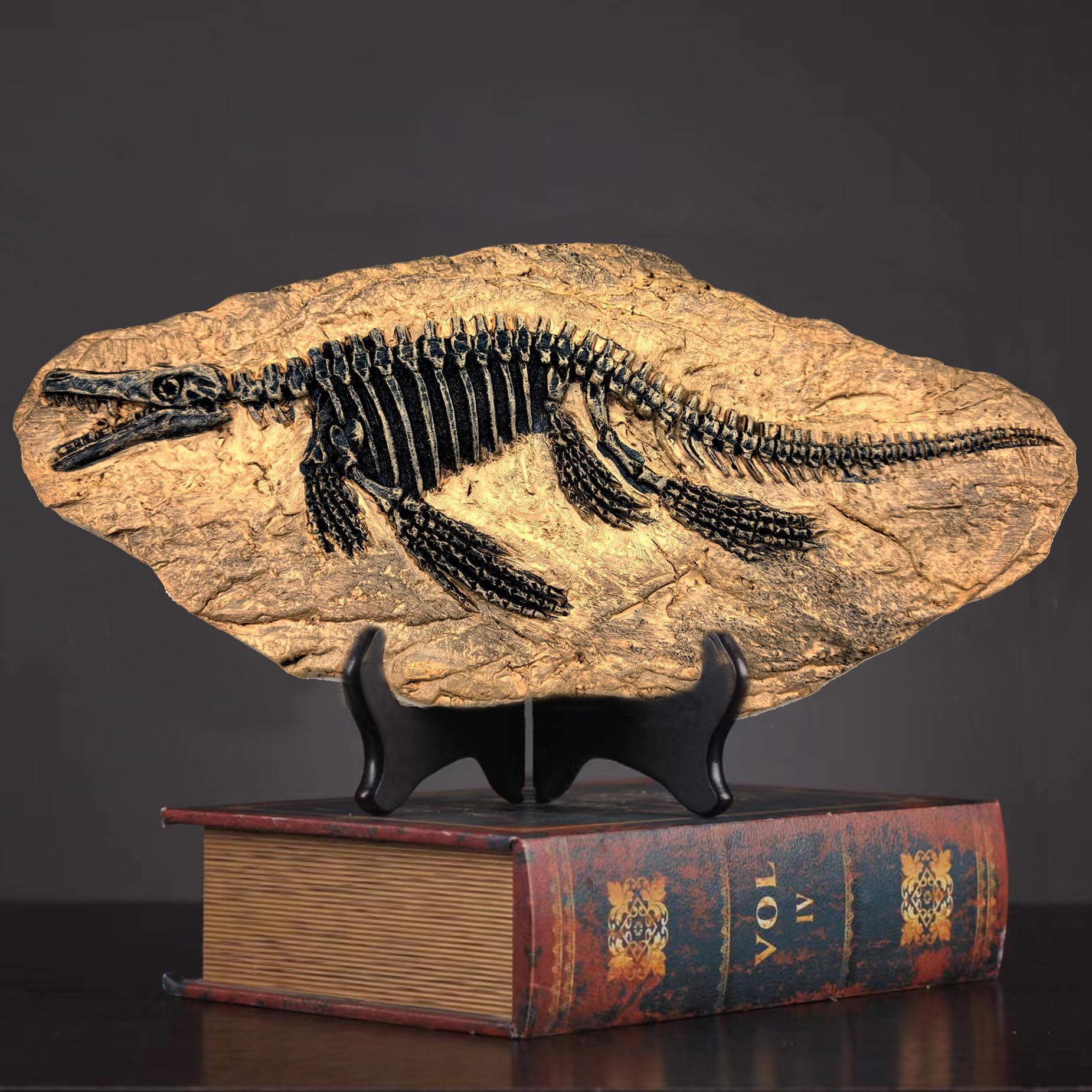 Amazon.com: XINDAM Resin Mosasaurus Dinosaur Fossil Figure Statue Model ...