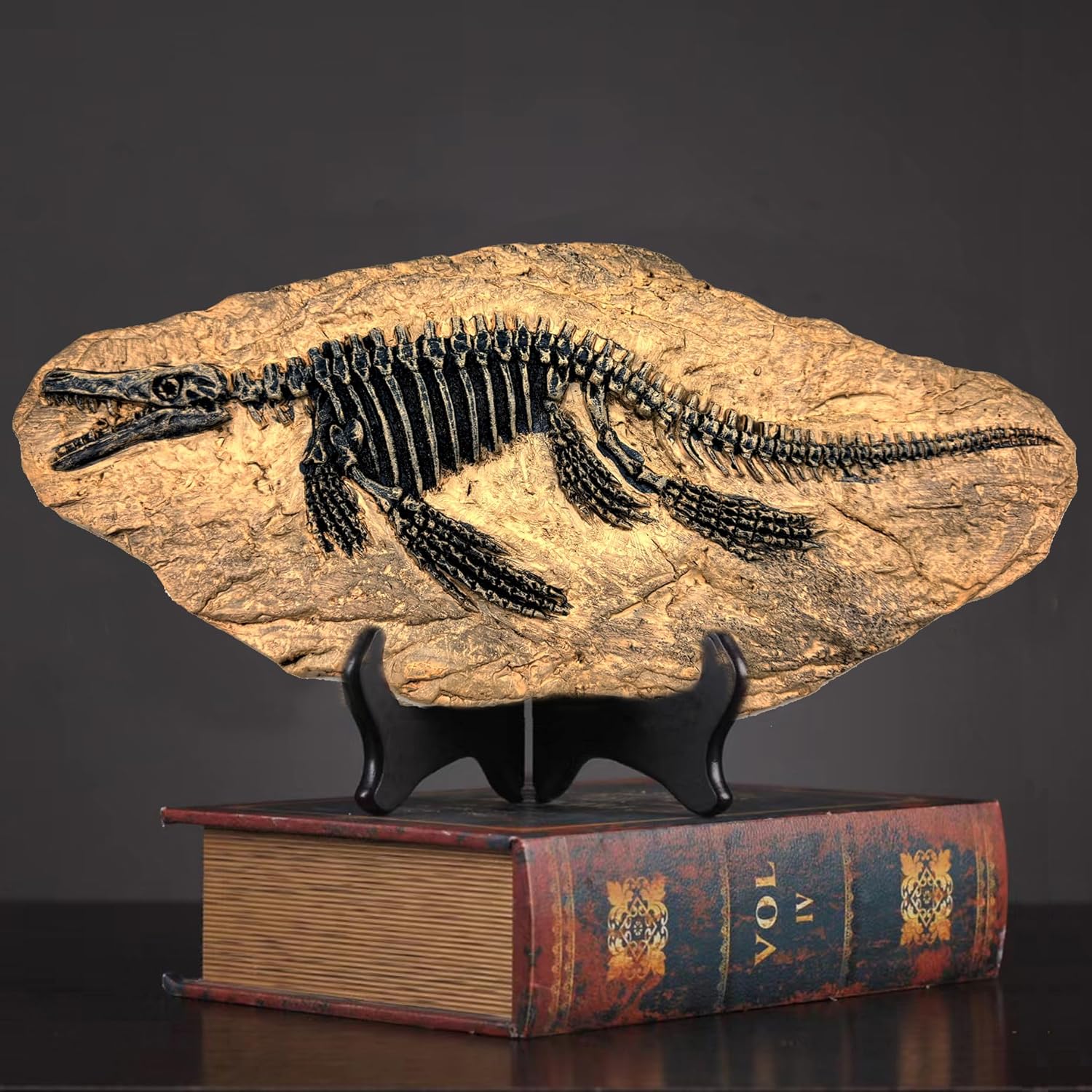 Amazon.com: XINDAM Resin Mosasaurus Dinosaur Fossil Figure Statue Model ...